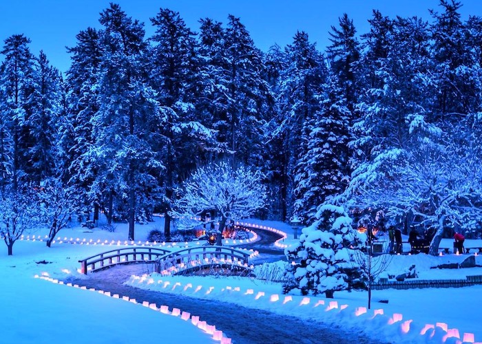 Upcoming Outdoor Events | Winter City Edmonton