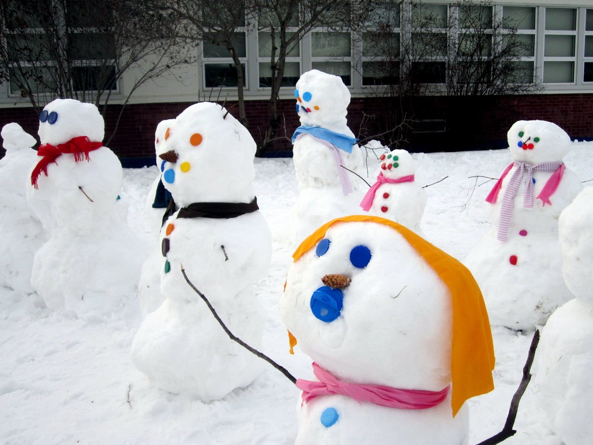 What’s in a Winterscape? | Winter City Edmonton